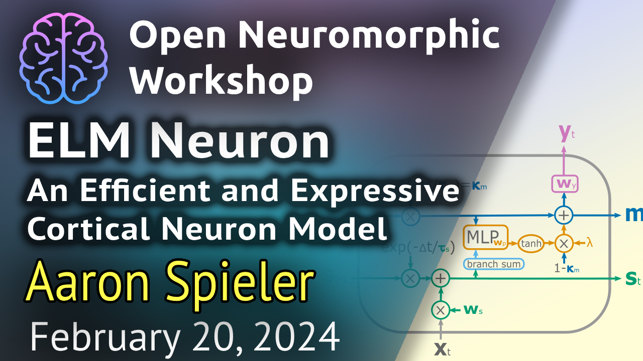 The ELM Neuron: An Efficient and Expressive Cortical Neuron Model Can Solve Long-Horizon Tasks ...